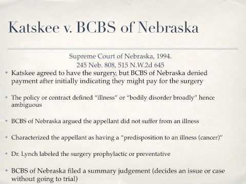 Legal Brief Writing