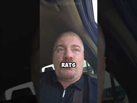 Jason 🍊 on X 'RATS = MATRIX NAVIGATION MASTERS How they seem to trick U 👇 #GG33 https t co EyIH