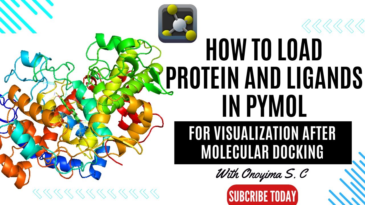 Importing proteins and ligands into pymol for post docking analysis