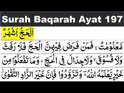Surah Baqarah Ayat 197 | Al-Baqarah ayat 197 | surah baqarah ayat 197 |surah baqarah ayat number 197