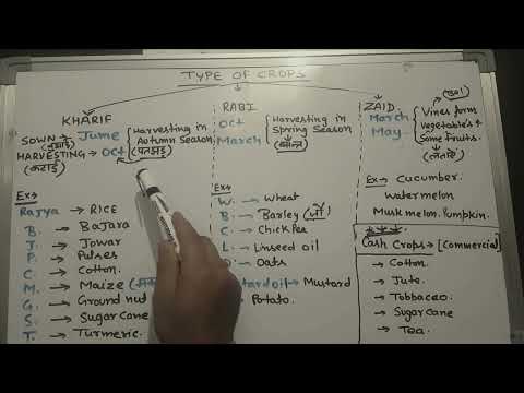 Tricks to remember Rabi, Kharif, Zaid crops (UPSC/IAS, SSC CGL AND OTHER COMPETITIVE EXAMS)