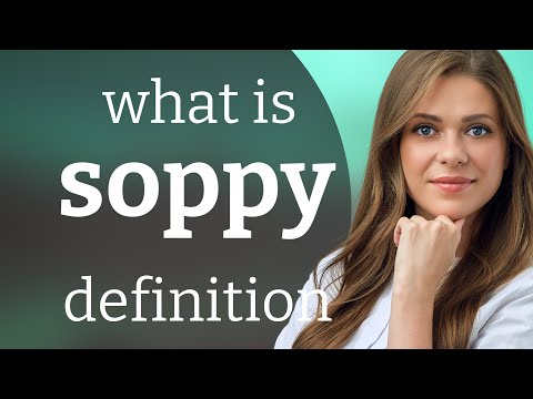 Soppy — SOPPY definition