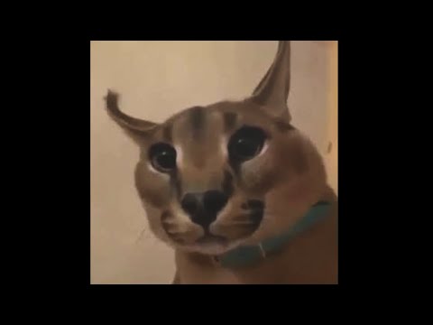 Steam Community :: Video :: Floppa Bowling