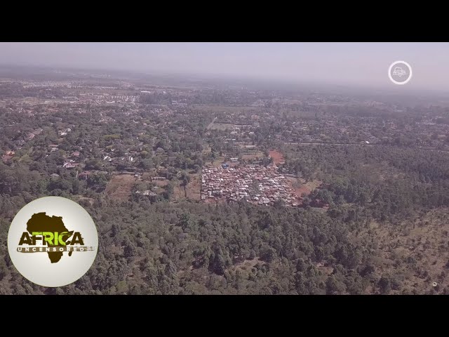 Deforestation in Kenya: Causes and Factors, Effects of Deforestation ...