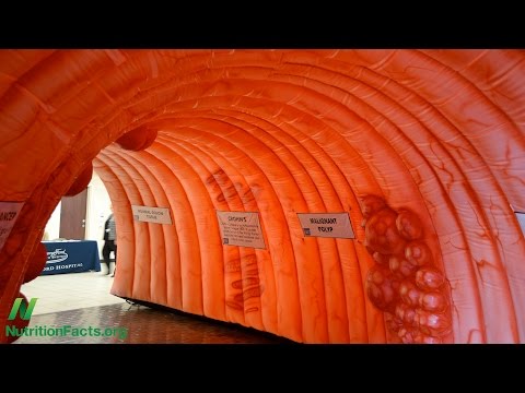 Stool pH and Colon Cancer