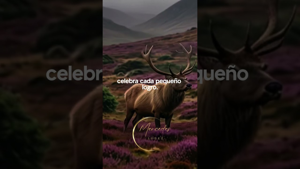 No necesitas ser perfecto para criar hijos felices.