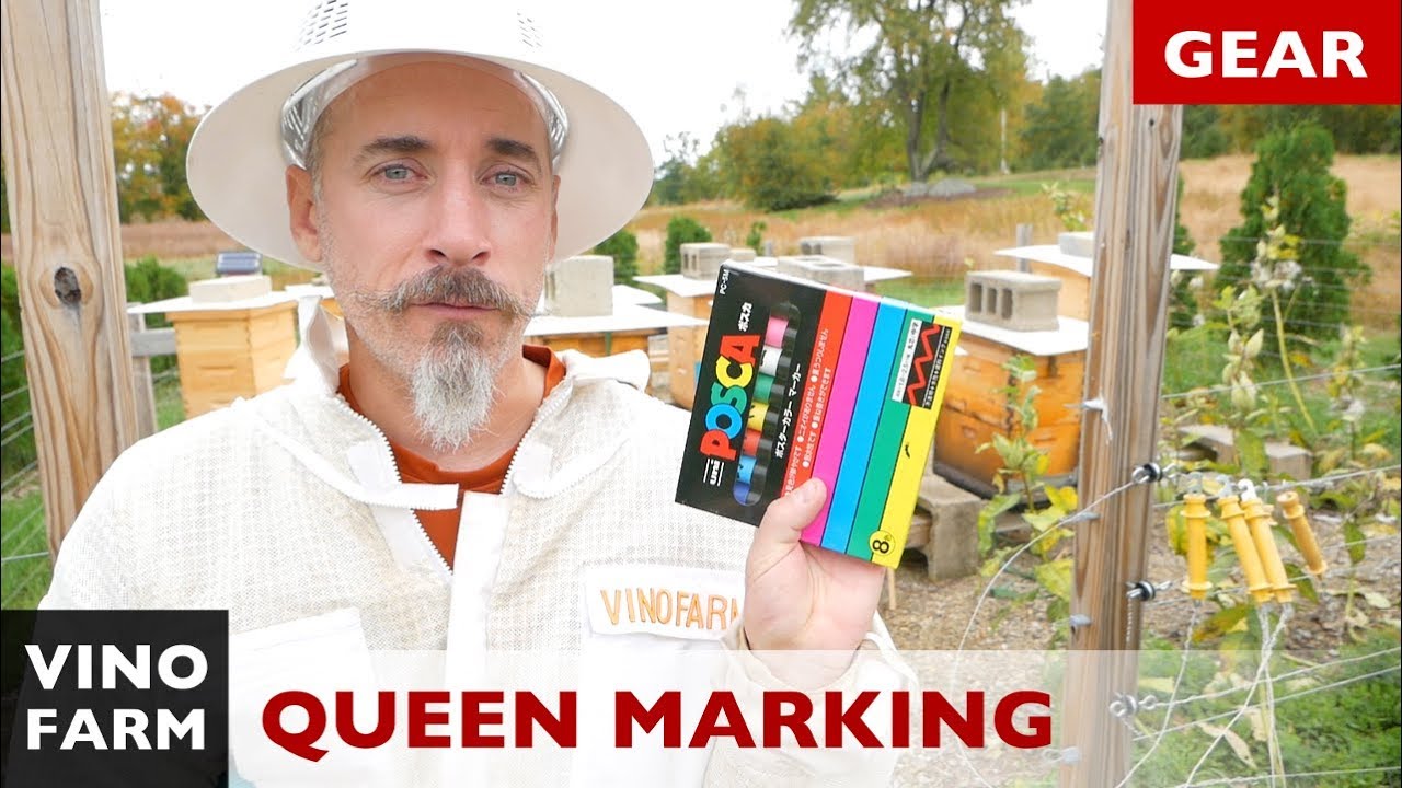First Time Marking a Queen!