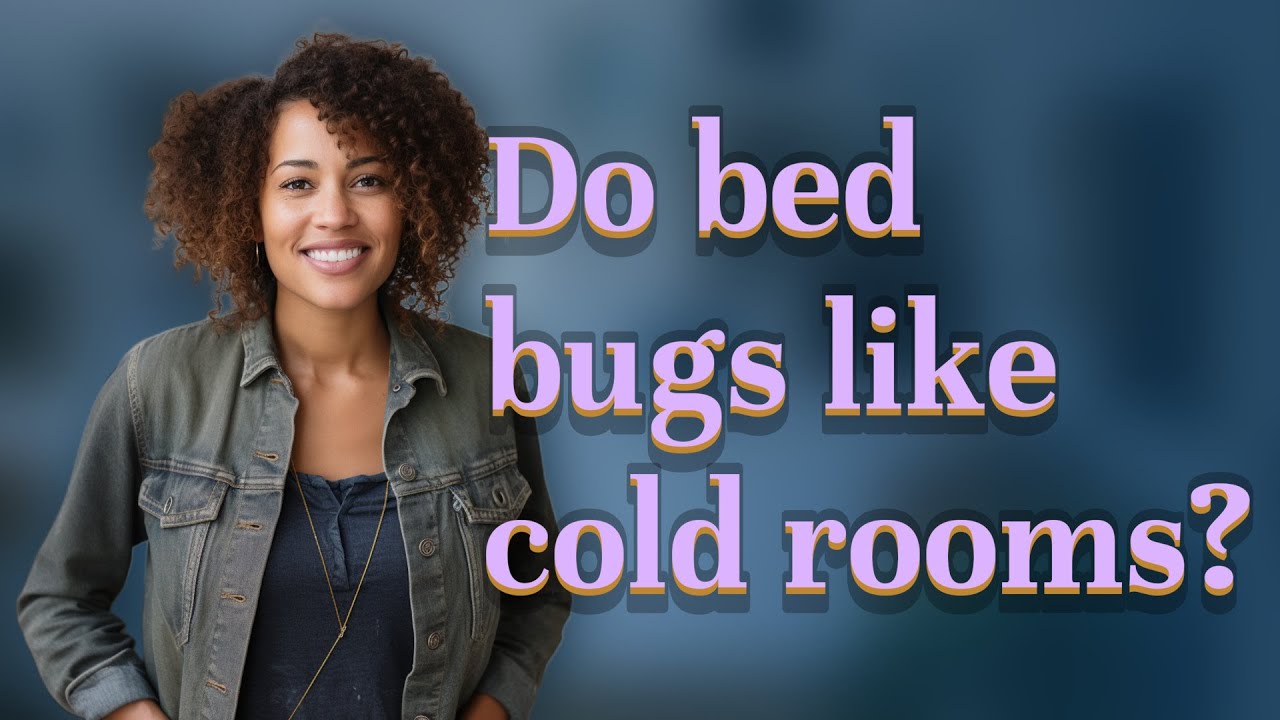 Do bed bugs like cold rooms?