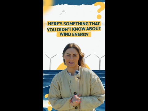 Myth Busting Offshore Wind: The Truth About Environmental Impact