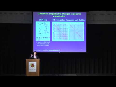 Kan Cao - Molecular Insights on Aging from Hutchinson-Gilford Progeria Syndrome