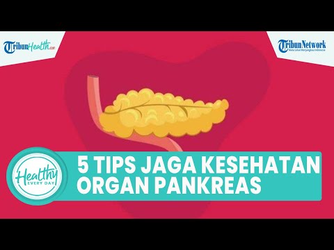 5 Tips Menjaga Kesehatan Pankreas, Satu di Antaranya Diet Rendah Lemak