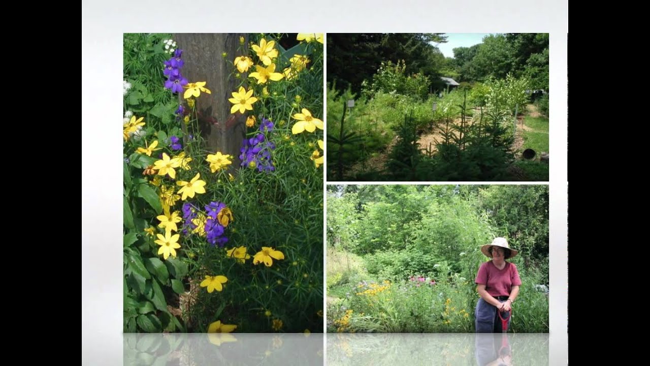 Ecology Park Slideshow