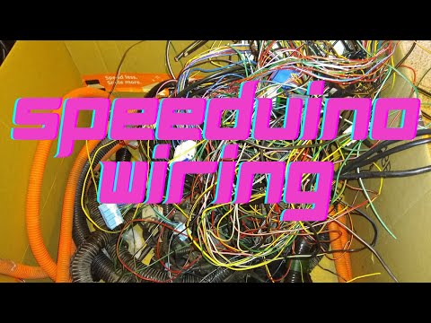K24 Honda Insight Swap Episode 10.2: Speeduino ECU to Accord Engine Harness