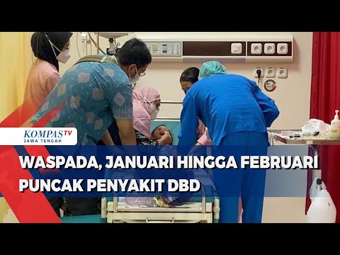 Waspada, Januari hingga Februari Puncak Penyakit DBD