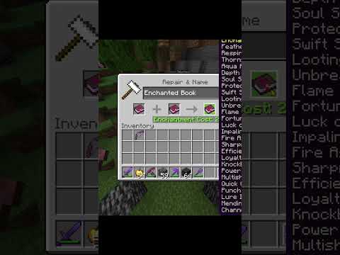 This Enchanted Book Has All Enchantments In Minecraft (mostly) #minecraft #gaming