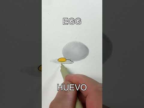 Learn Spanish! ¡Aprenda Inglés! EGG : EL HUEVO