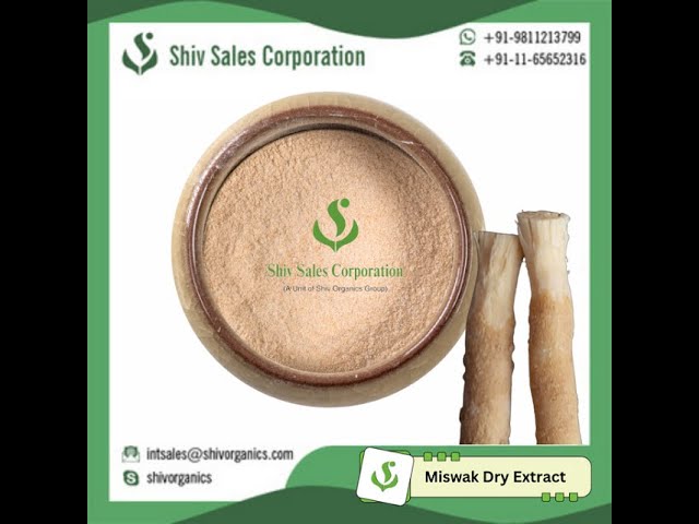 Extract Powder - Papaya Extract Powder Trader - Wholesaler ...