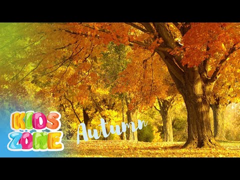 It's Autumn | What happens in autumn season | Autumn/ Fall video for kids | Autumn facts for kids