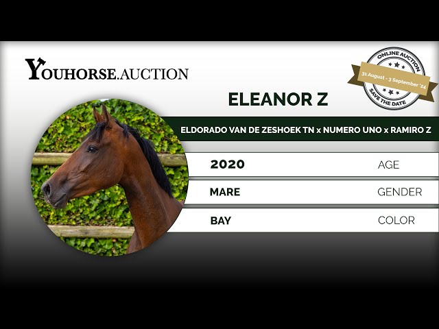 Youhorse.auction | Eleanor Z