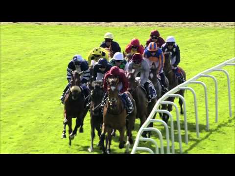 Sires With Group 1 Winners In Europe For The First Time – thebreedingshed