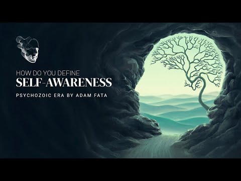 How do you define self-awareness? #psychozoicera