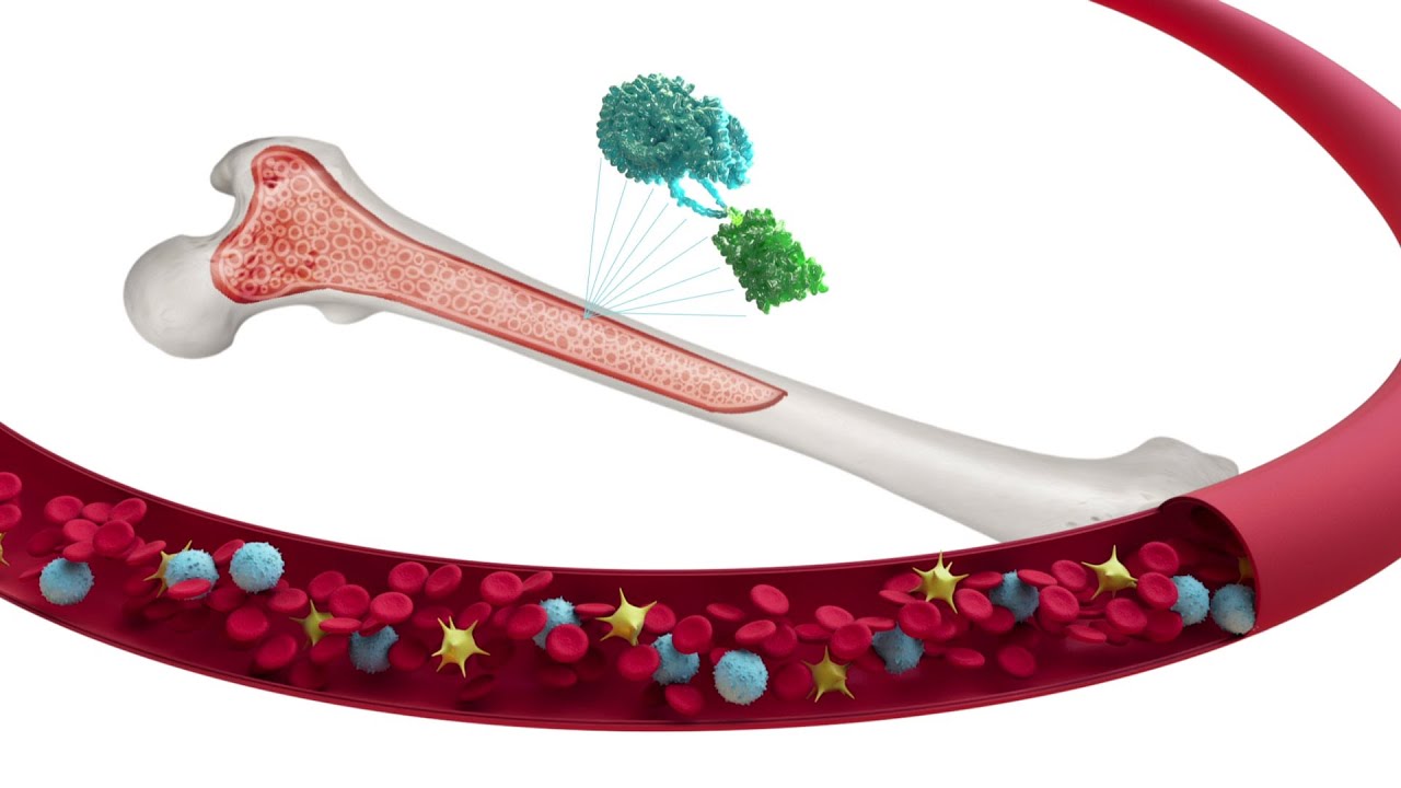 Discover How BESREMi® (ropeginterferon alfa-2b-njft) Works to Target the Source