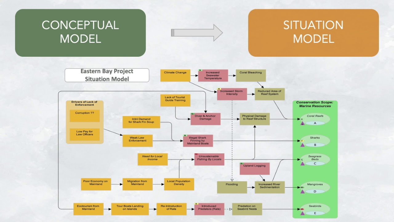 Module 0 | COURSE INTRO | CS Step 3 | Online Course