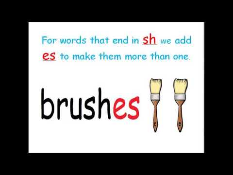 Singular and plural - adding 'es' to words that end in 'sh'