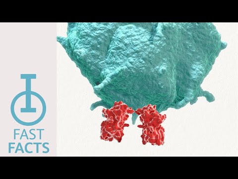 IOU YouTube: How can CTLA-4 play a role in long-term immunity?