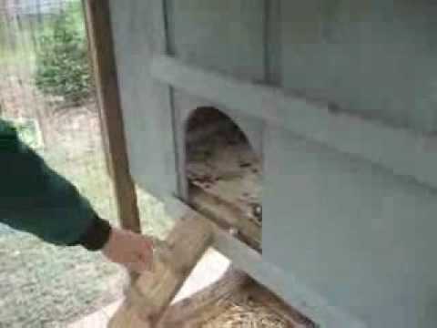 Free Chicken Coop Blueprints