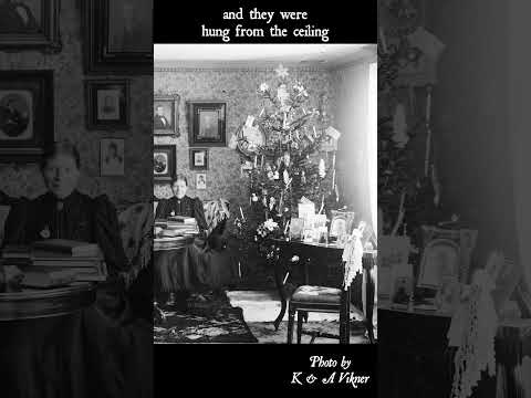 The First Christmas Tree