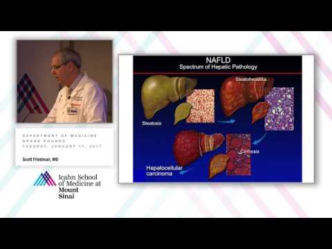 The Dawn of Translation in NASH and Hepatic Fibrosis