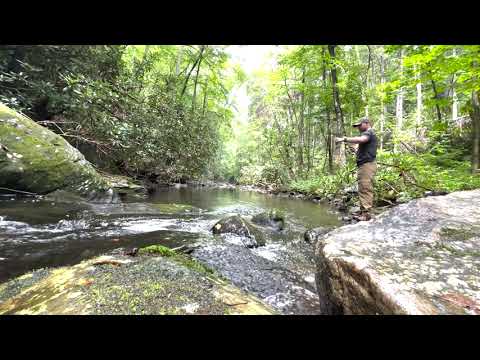 Brook Trout Fishing - Lost Creek TN