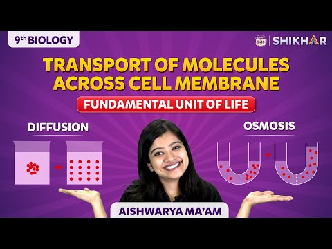 Transport of Molecules Across Cell Membrane Fundamental Unit of Life | Diffusion & Osmosis | SHIKHAR