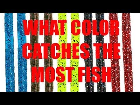 What’s the best color for Soft plastic worms? | Color guide!