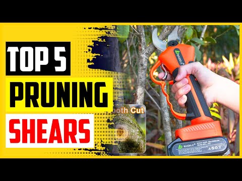 TOP 5 Best Electric Pruning Shears in 2022