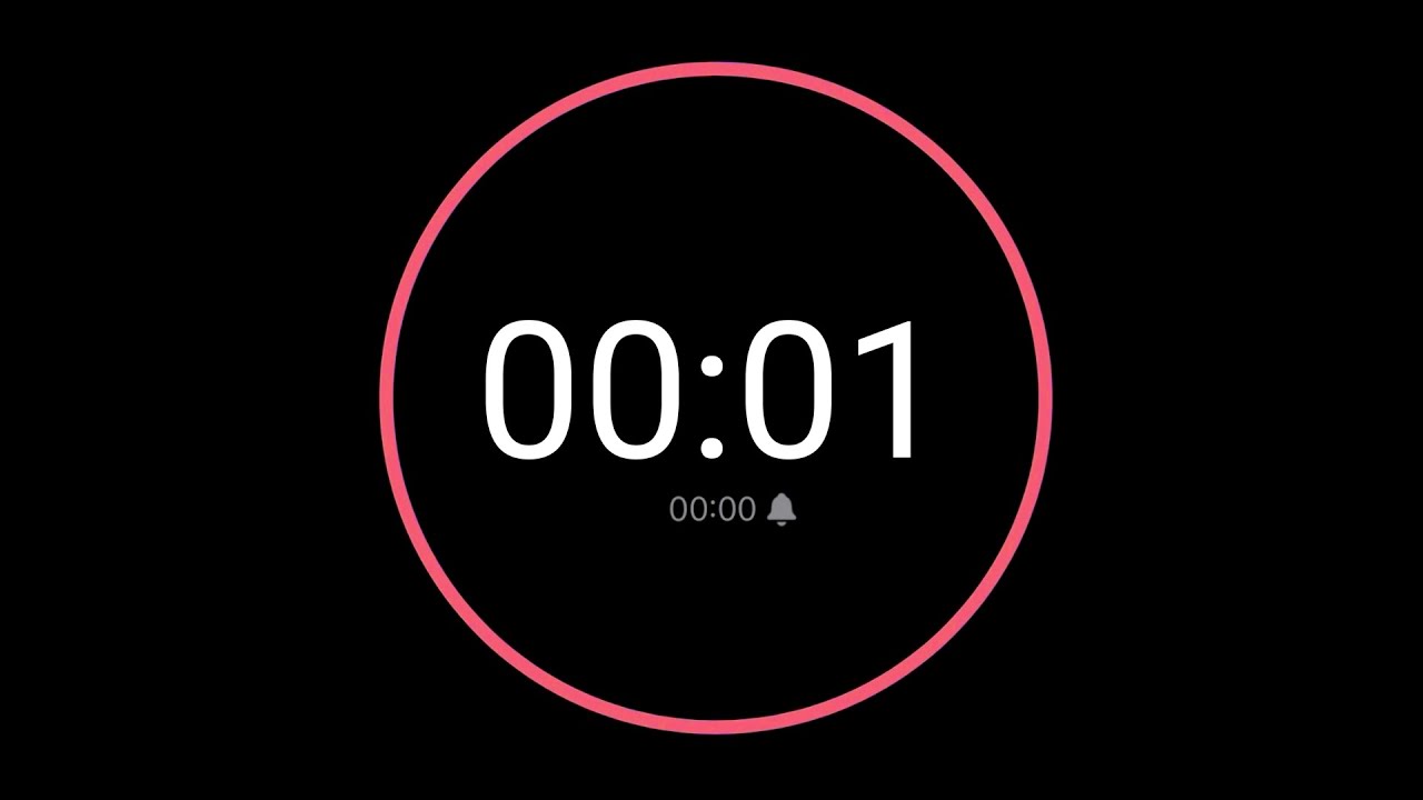 1 Second Countdown Timer - iPhone Timer Style