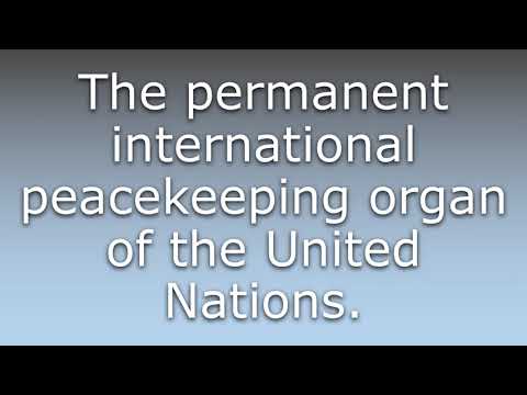 What does UN Security Council mean?