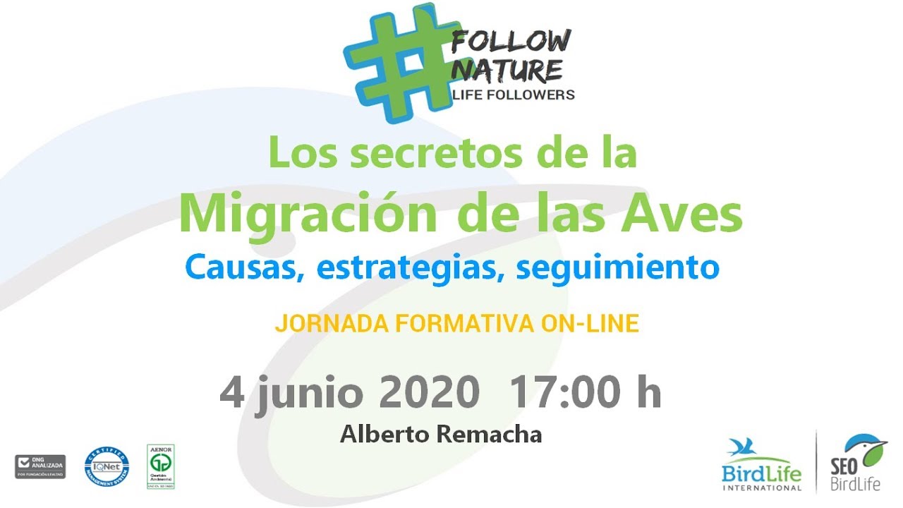 LIFE Followers - 11º Curso LIVE: Los secretos de la Migración de las Aves