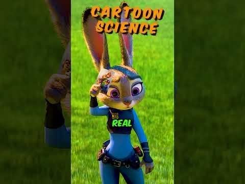 Judy at the No-Clothes Animal Club in Zootopia