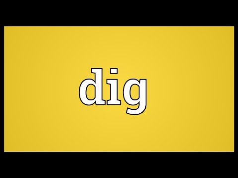 Dig Meaning