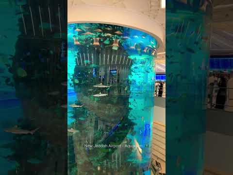 King Abdulaziz Airport Terminal 1 | New Jeddah Airport 🇸🇦