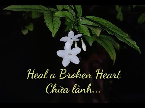 9 Quotes help Heal a Broken Heart | Lovelorn| & Restore your Energy