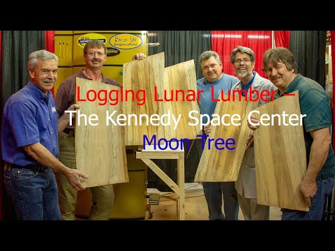 Logging Lunar Lumber – The Kennedy Space Center Moon Tree