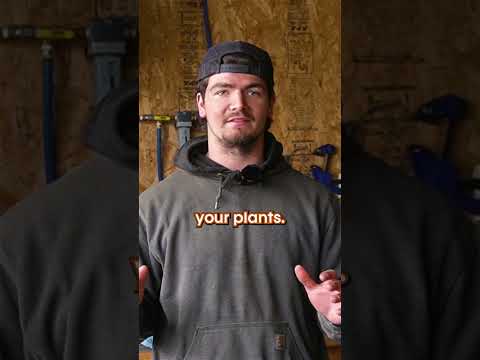 Say NO to Rubber Mulch! #shorts