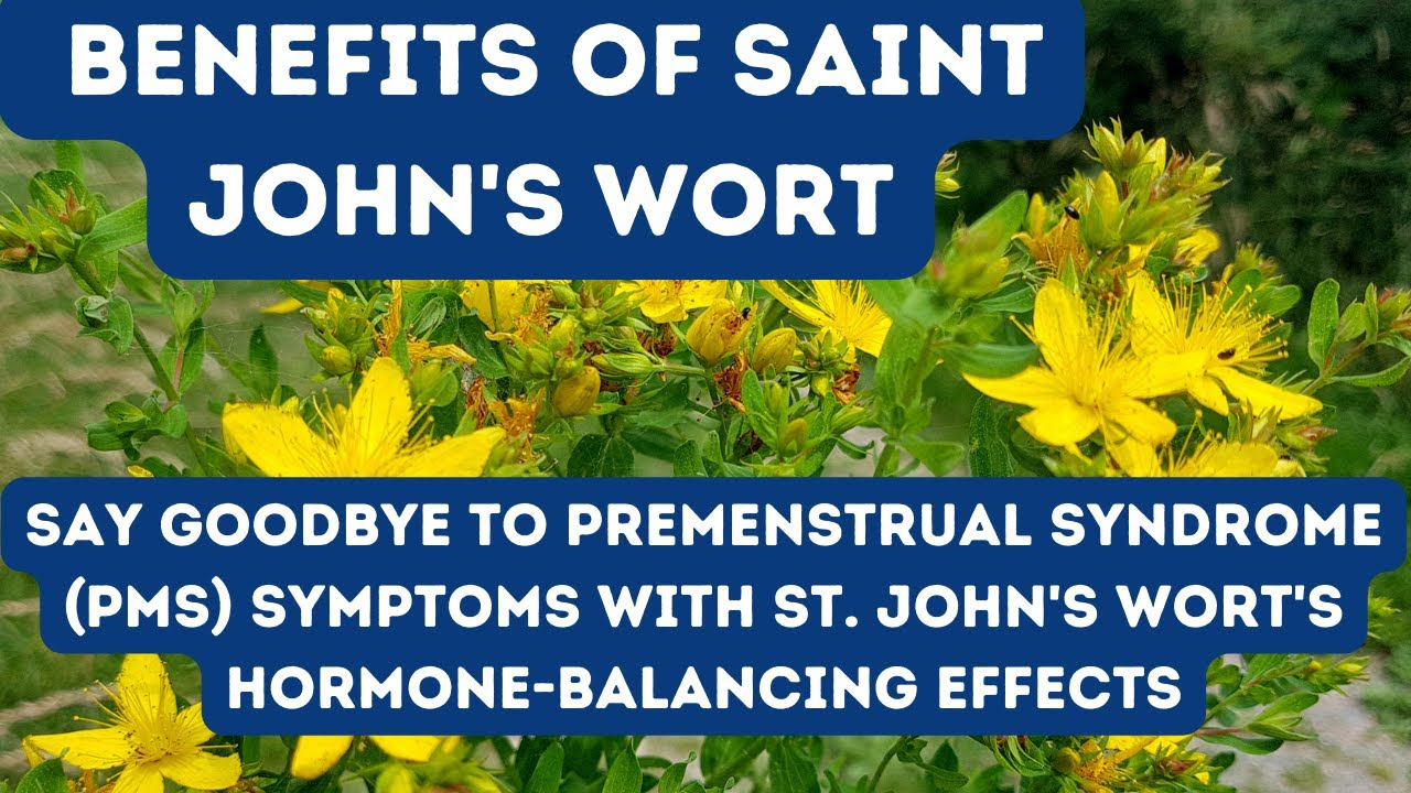 10 POWERFUL BENEFITS  OF ST. JOHN'S WORT TO COMBAT DEPRESSION AND ANXIETY NATURALLY