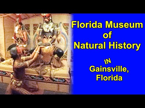 EXPLORE The Florida Museum Of Natural History in Gainesville Florida - University of Florida - UF