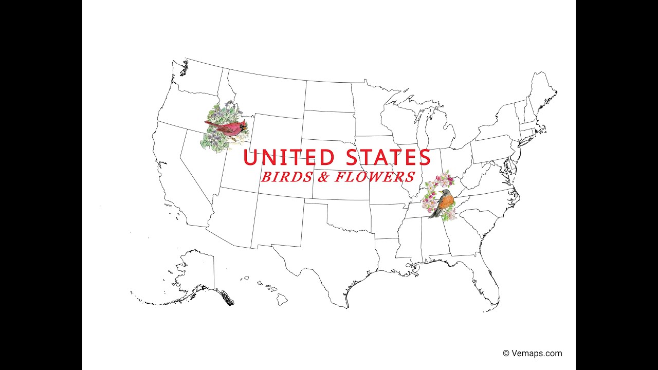 Fifty State Birds Flowers - Alabama to Wyoming and all states in between.