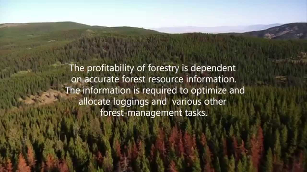 Precision Forestry
