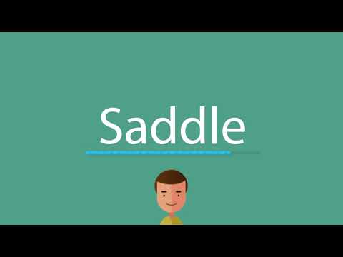 Saddle pronunciation